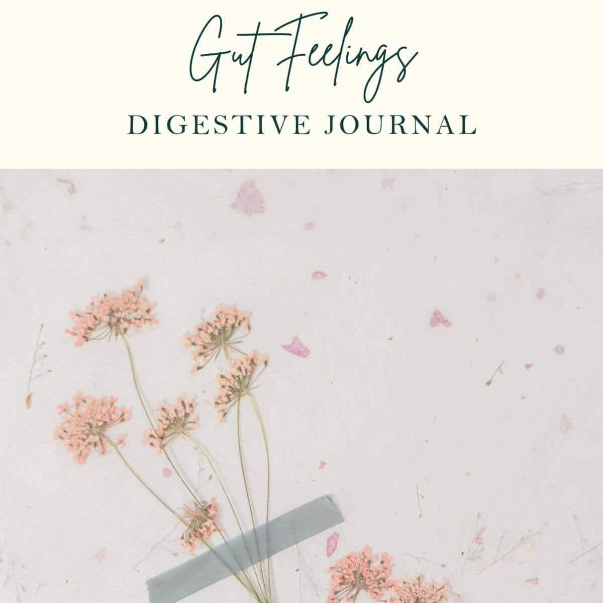 Digestive Health Benefits Of Journaling - Eat Your Nutrition ...