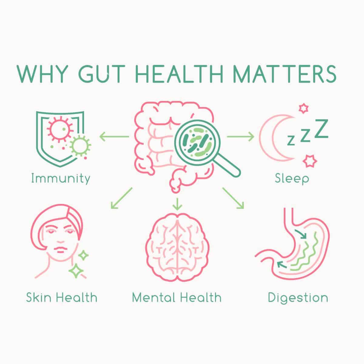 5 Powerful & Incredible Benefits Of Butyrate For Optimal Health