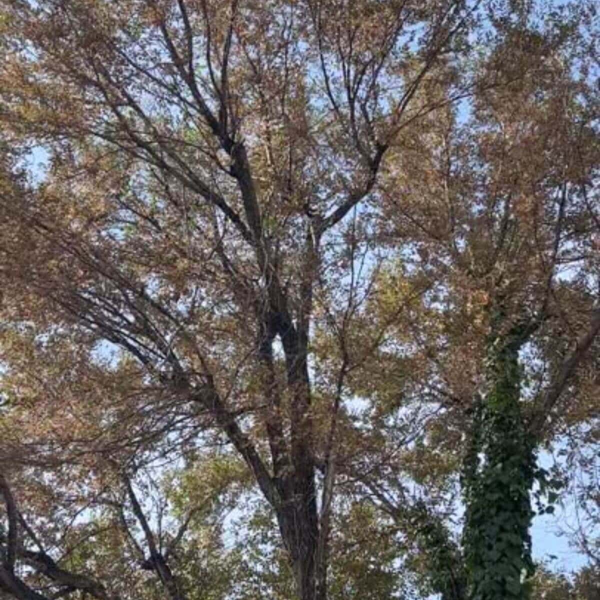 7 Healthy Holistic Wellness Habits For Fall For Better Health